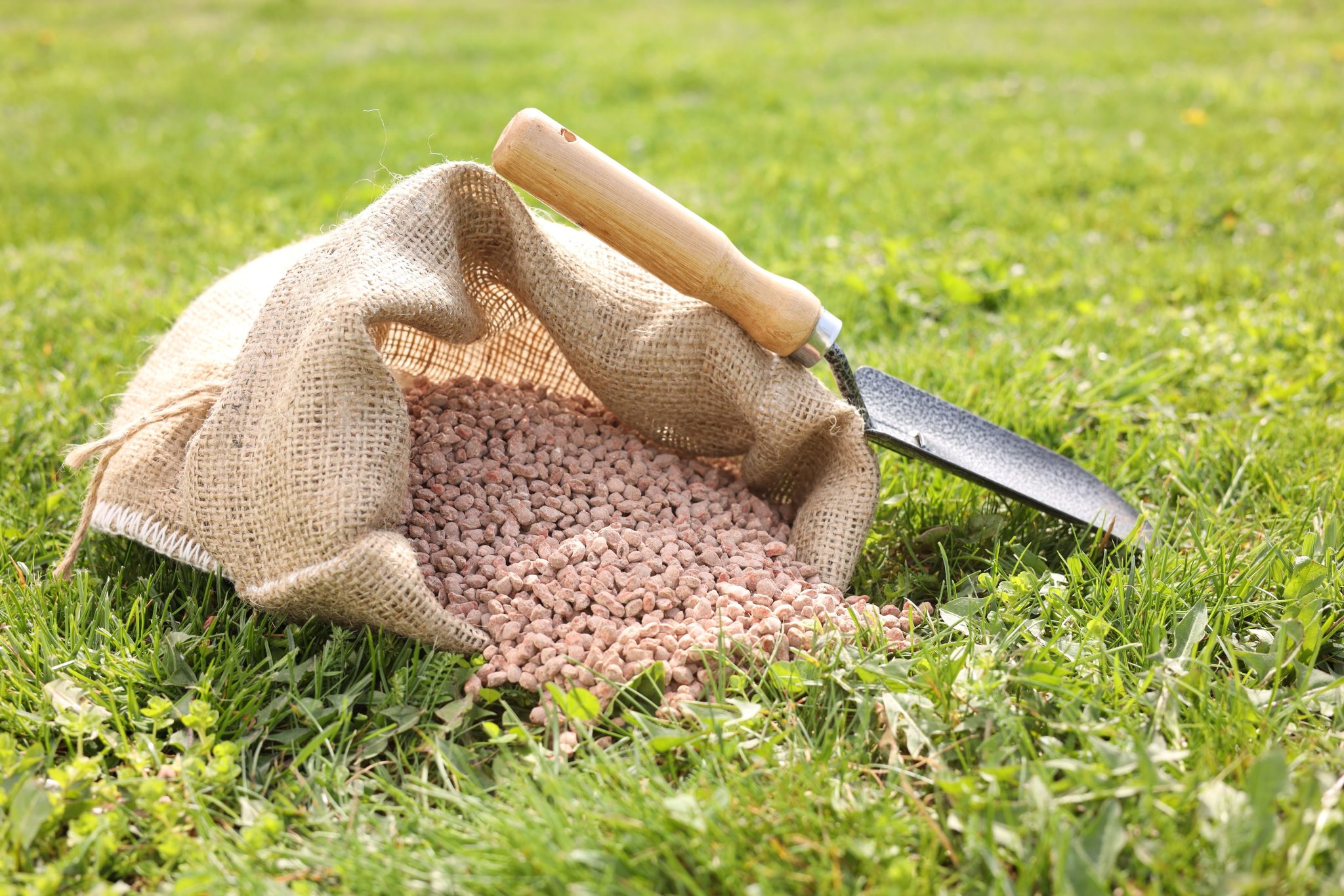 Corporate – Agro Surge Fertilizer